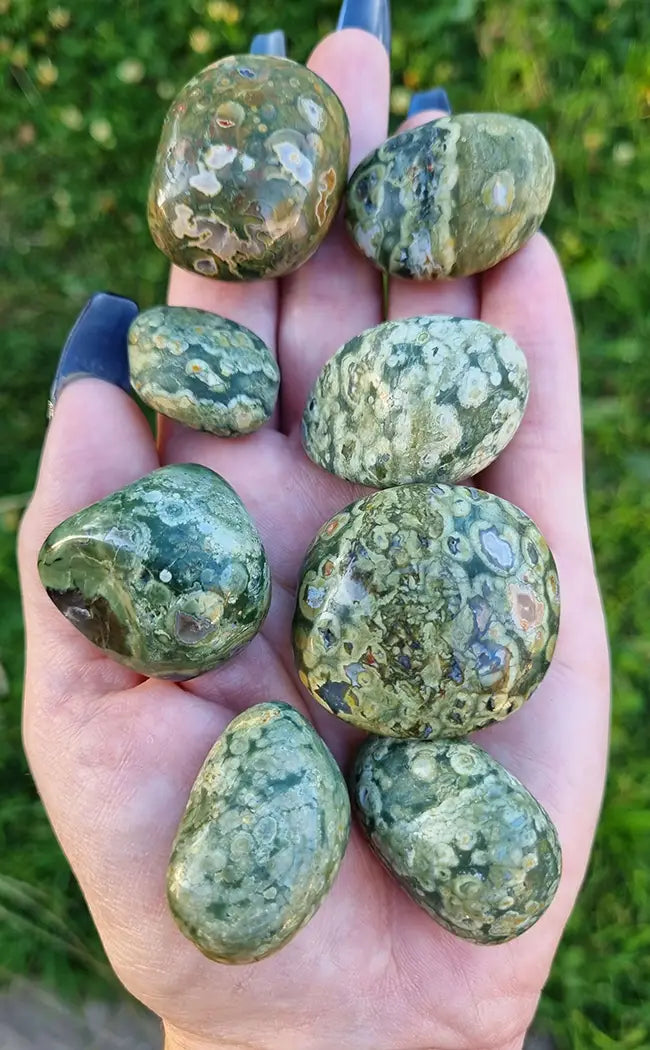 Premium Rainforest Jasper | Rhyolite | Tumbled Stone | Crystals
