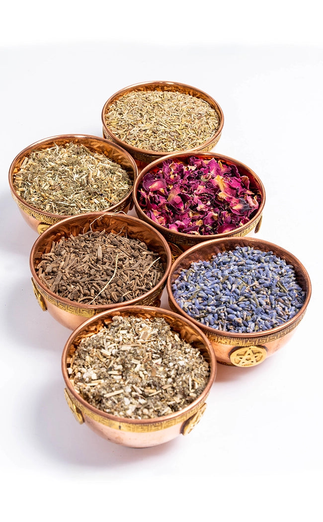 Witchcraft Herb Essentials Bundle Pack