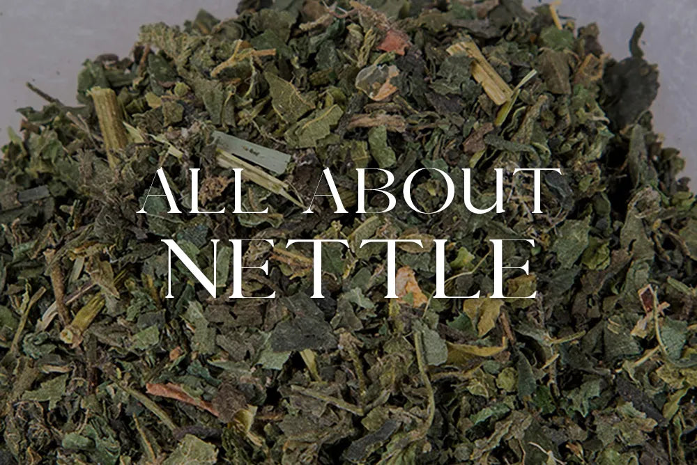 Nettle: Magickal Properties & Uses