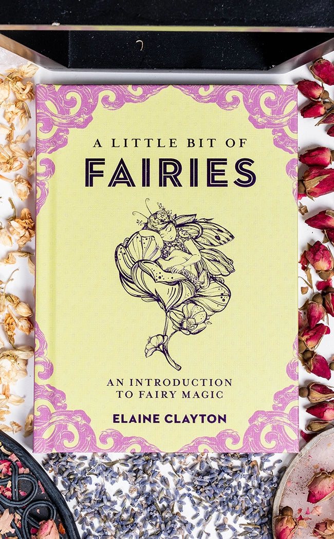 A Little Bit Of Fairies is a an Introduction to Fairy Magic
