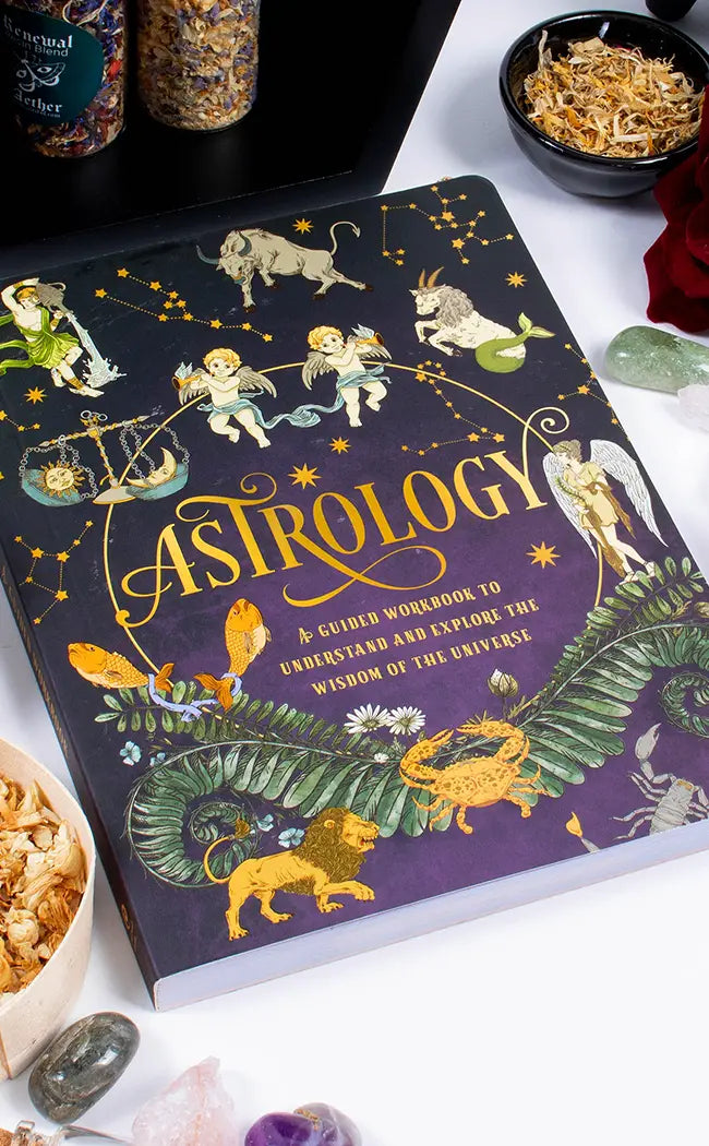 Astrology: A Guided Workbook