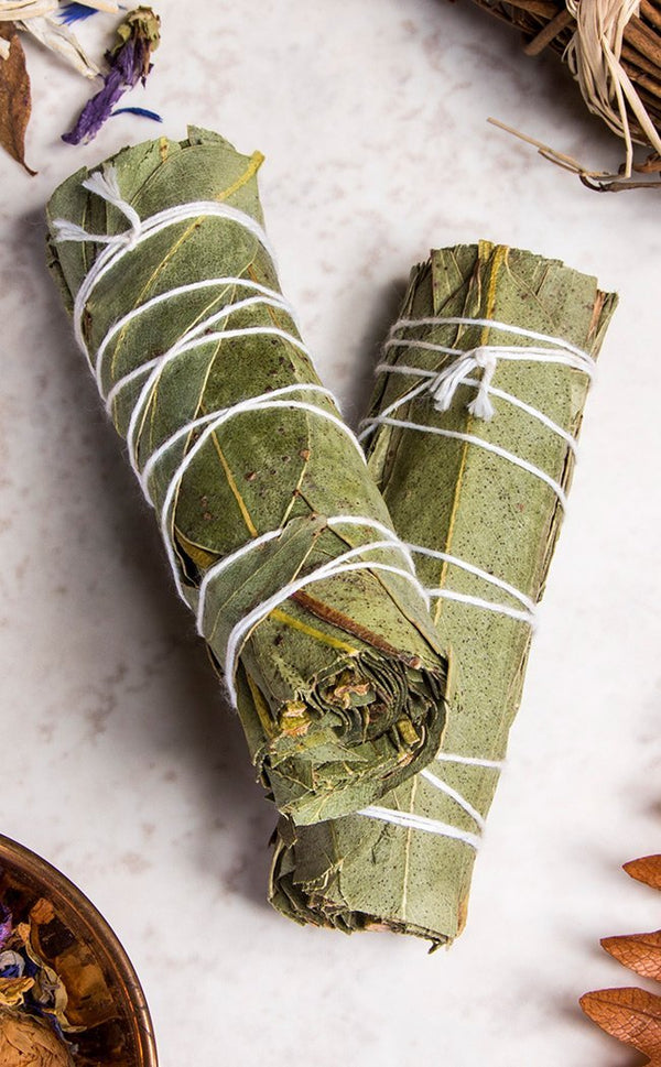 Eucalyptus Smudge Stick as a White Sage Smudging Alternative