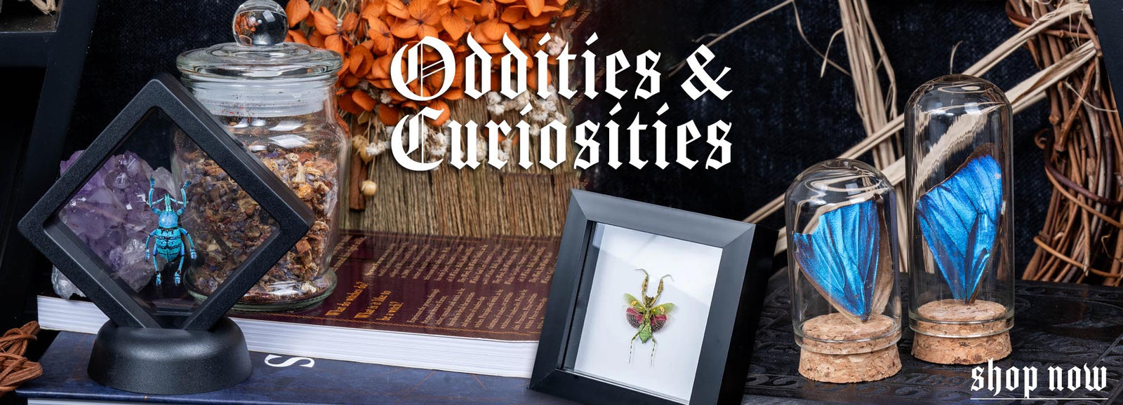 Tragic Beautiful | Gothic Clothing & Alt Home Decor Australia