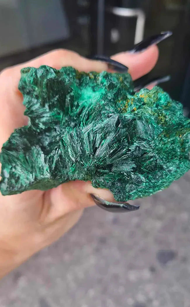 Large Rare Acicular Velvet Malachite Freeforms