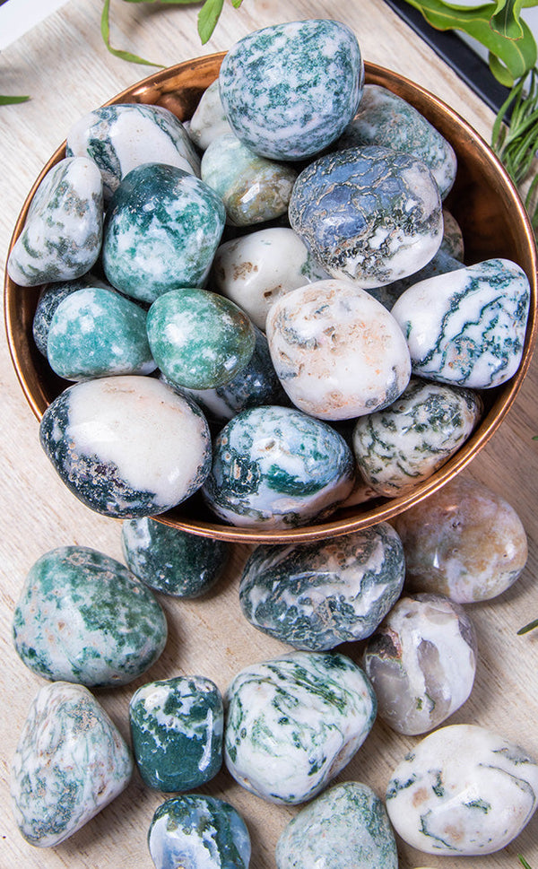 Tree Agate Tumbled Stones | Witchy Crystals & Energy Healing Australia