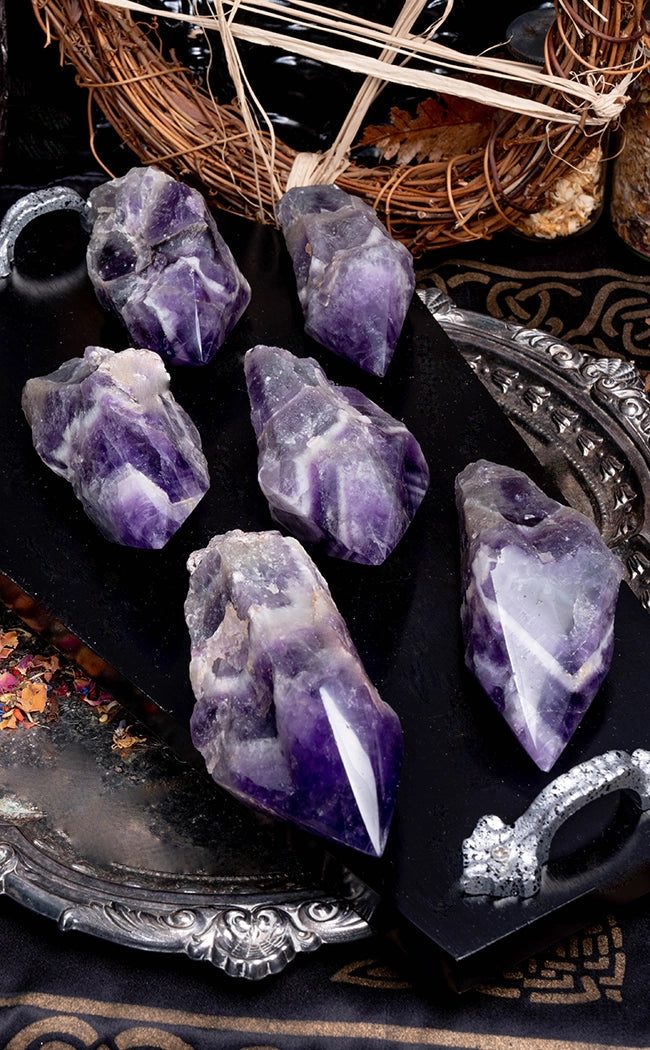 XL Dream Amethyst Dragons Tooth Points