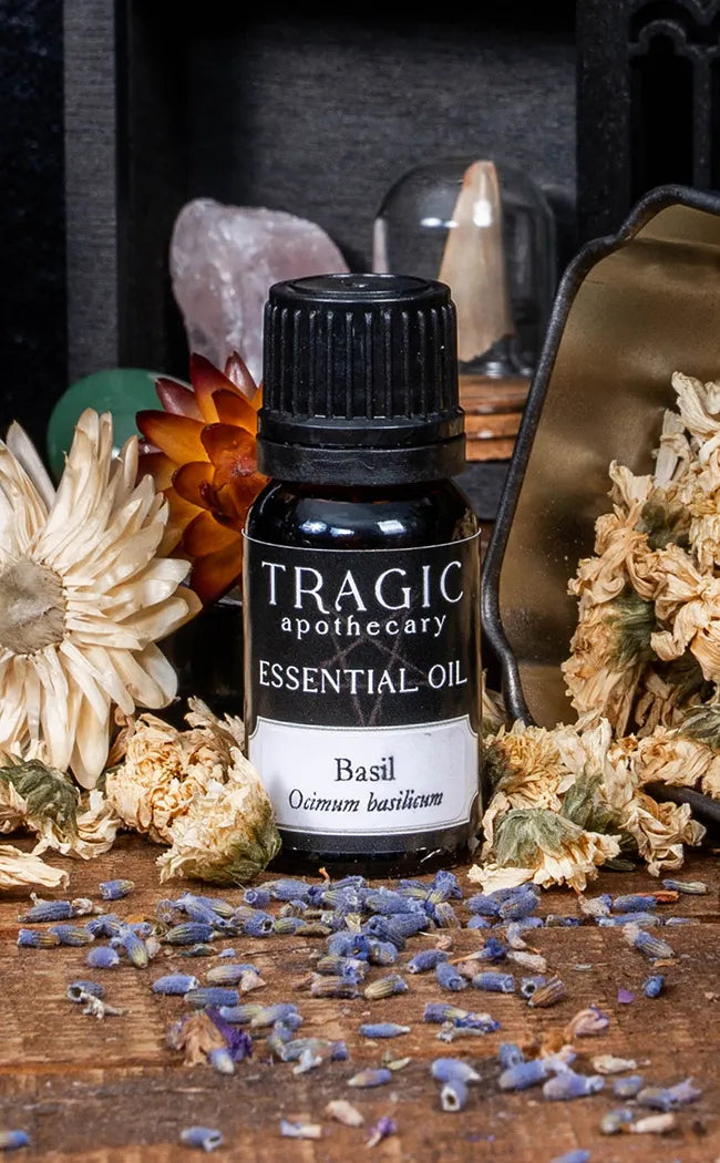 100% Pure & Natural Basil Essential Oil For Witchcraft & Rituals
