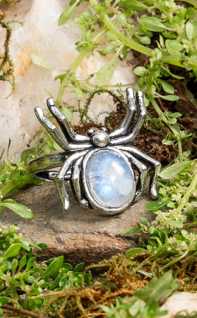 Blue Moonstone Stainless Steel Spider Ring | Witchy Crystal Jewellery