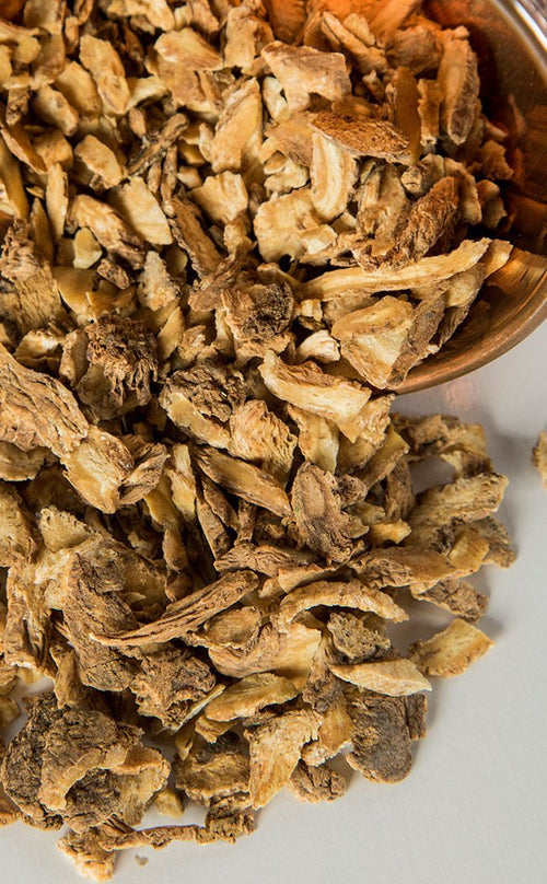 Dong Quai Root | Herbal Alchemy | Spell & Ritual Supplies Australia