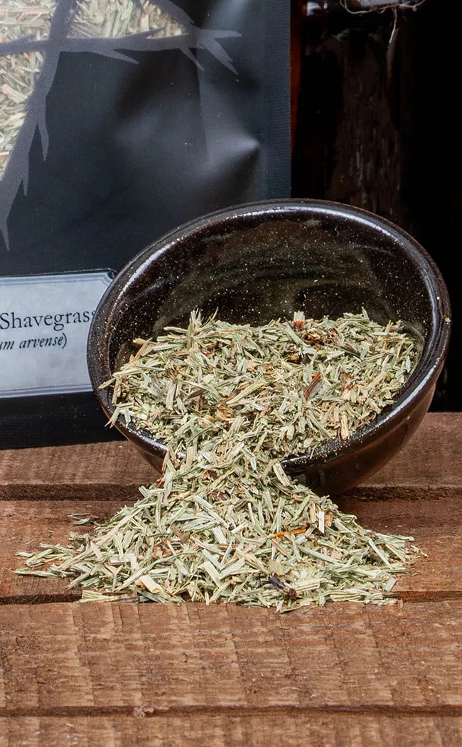 Horsetail (Shavegrass) for Witchcraft & Rituals