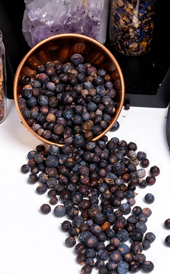Juniper Berries Dried Herbs for Witchcraft & Rituals for Green Witches