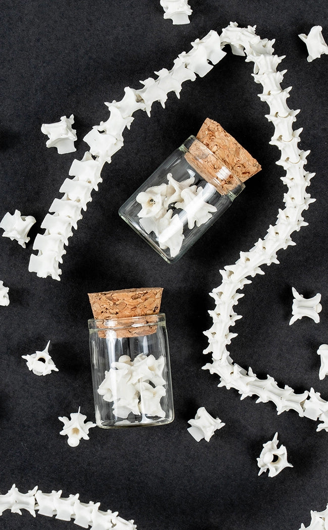 Rattle Snake Vertebrae Bones in Glass Jar