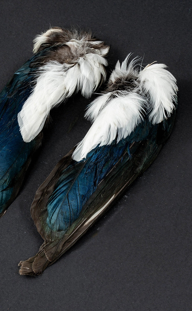 Real Magpie Wings Genuine Wing for Taxidermy Art