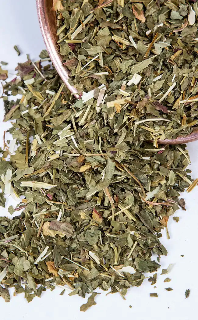 Scullcap Dried Leaves | Witch Herbs | Pagan Witchcraft Spell Supplies