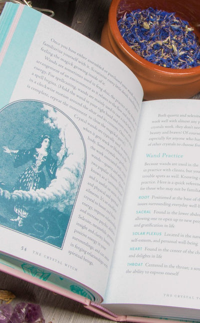 The Crystal Witch by Shawn Robbins & Leanna Greenaway