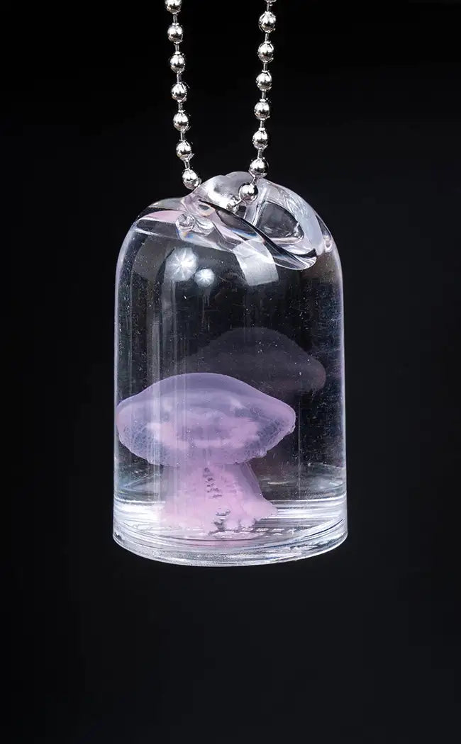 Wet Specimen | Jellyfish