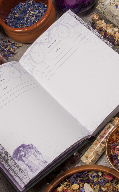 Wiccapedia Journal: A Book of Shadows by Shawn Robbins & Leanna Greenaway