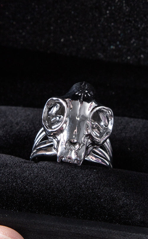 Cat Skull Steel Ring | Rogue + Wolf Australia | Gothic Jewellery