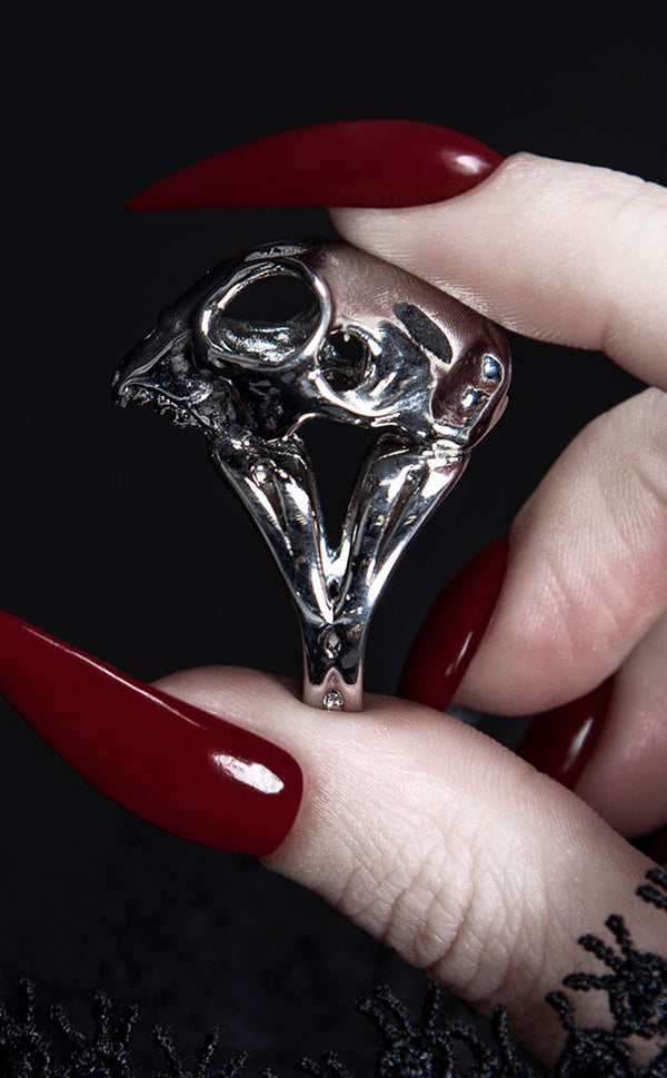 Cat Skull Steel Ring | Rogue + Wolf Australia | Gothic Jewellery