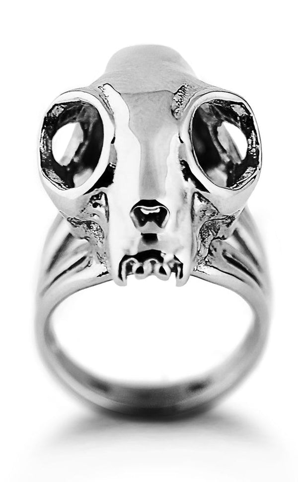 Cat Skull Steel Ring | Rogue + Wolf Australia | Gothic Jewellery