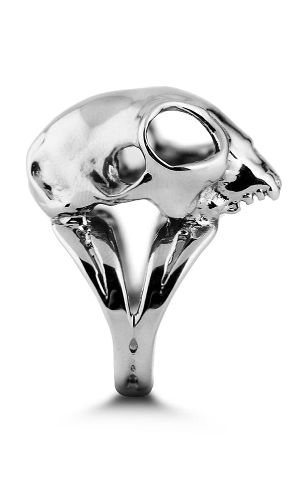 Cat Skull Steel Ring | Rogue + Wolf Australia | Gothic Jewellery