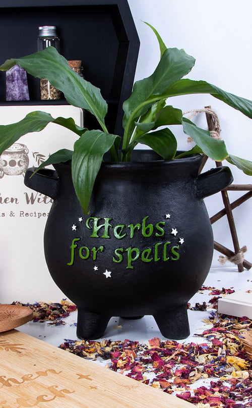 Large Herbs For Spells Cauldron Plant Pot | Gothic Homewares & Gifts