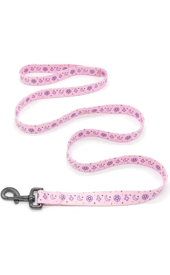Pastel Demon Pet Leash | Gothic & Alternative Pet Accessories