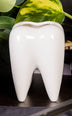 Pearly White Tooth Plant Pot | Quirky Alternative Gifts Australia