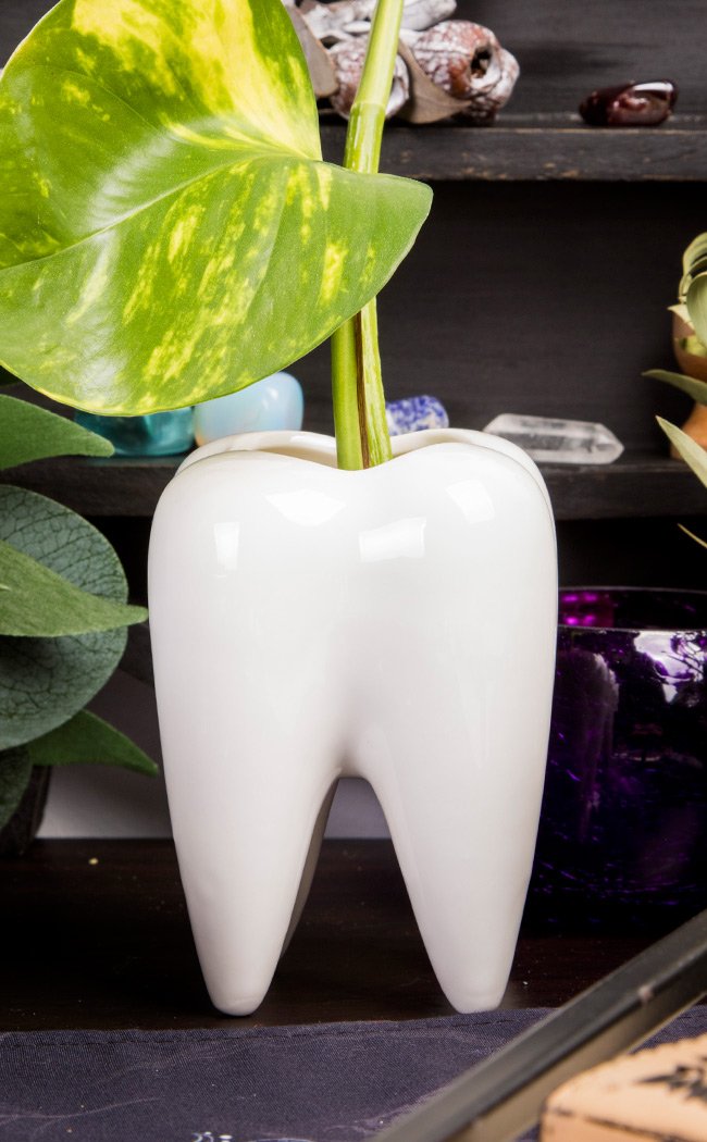 Pearly White Tooth Plant Pot | Quirky Alternative Gifts Australia