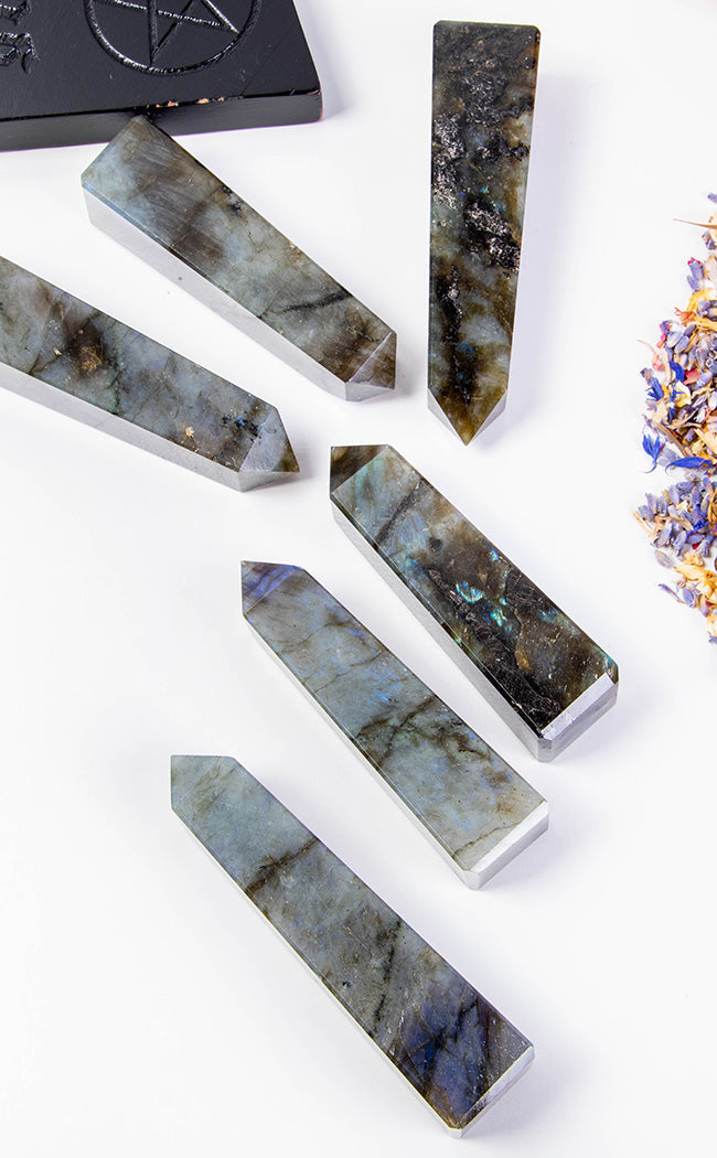 Labradorite Polished Point | Shop Crystals - Tragic Beautiful