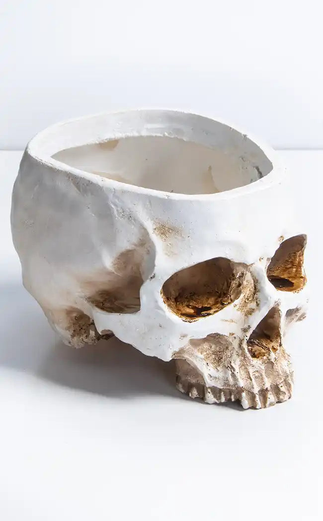 Soul Harvest Skull Planter | Cottagecore Home Decor Australia