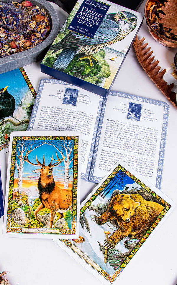 The Druid Animal Oracle Deck | Tarot Cards & Divination Australia