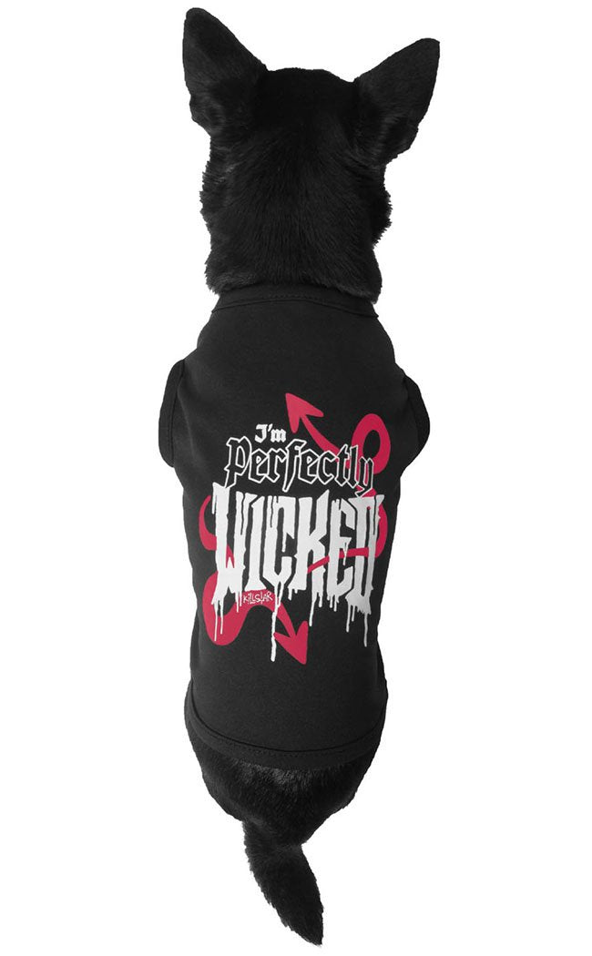 Wicked Pet Vest | Killstar Australia | Witchy & Gothic Pet Supplies